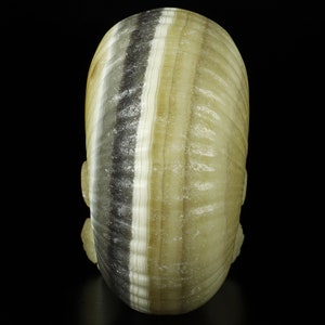 Skullis Crystal Skull, 5.8" Zebra Calcite Hand Carved Nautiloid Cthulhu ...