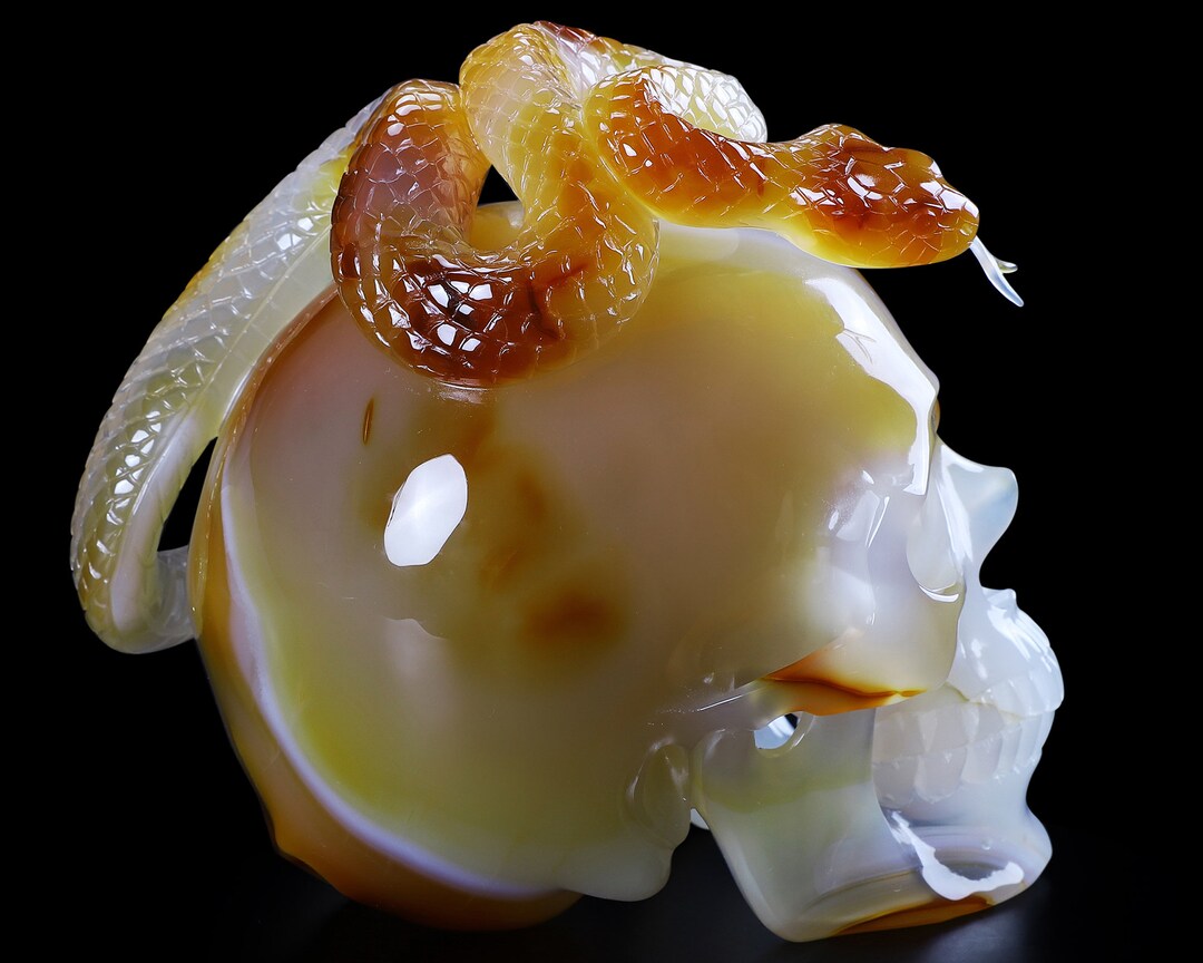 Skullis Crystal Skull, Five Poisons - 6.2" Carnelian Carved Crystal ...