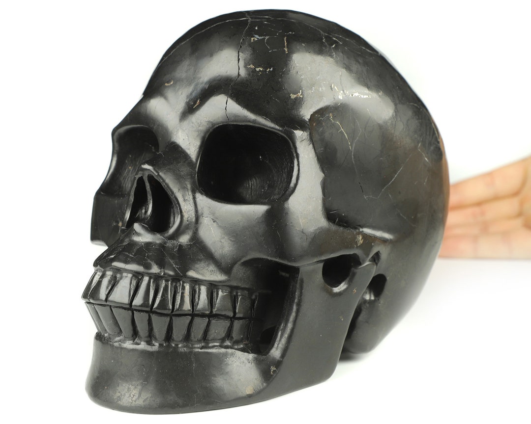 Skullis Crystal Skull, Lifesized 6.9" Shungite Hand Carved Gemstone Skull, Realistic, Fine Art ...