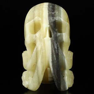 Skullis Crystal Skull, 5.8" Zebra Calcite Hand Carved Nautiloid Cthulhu ...