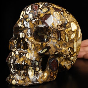 Skullis Crystal Skull, Super Realistic! Lifesized 6.1" Matrix Opal Hand ...