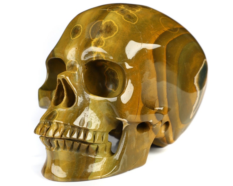 Skullis Crystal Skull, Hand Carved 5.2" Ocean Jasper Hand Carved ...
