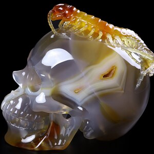 Skullis Crystal Skull, Five Poisons - 5.2" Carnelian Carved Crystal ...