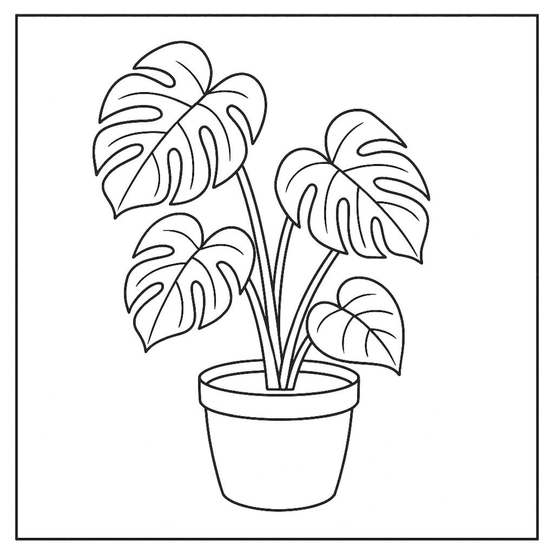 Monstera Coloring Page - Etsy
