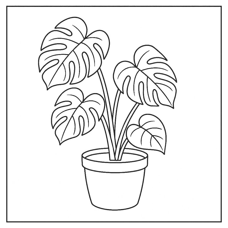Monstera Coloring Page - Etsy