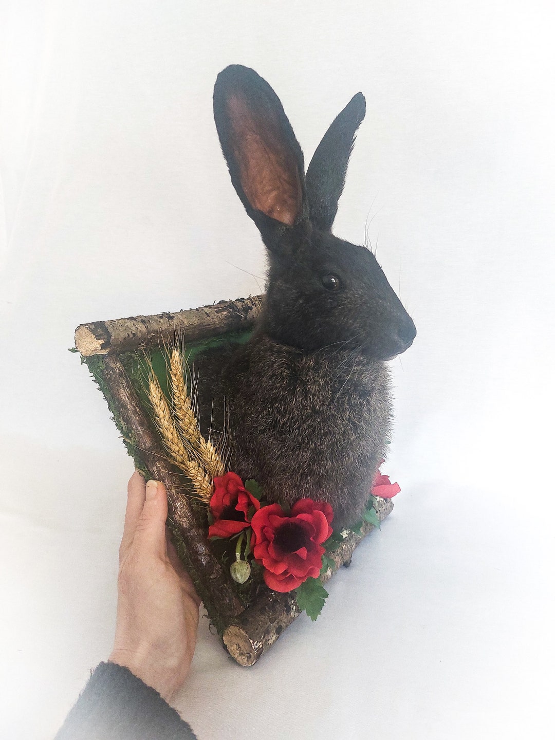 Dark Rabbit Shoulder Mount Taxidermy Art Frame - Etsy