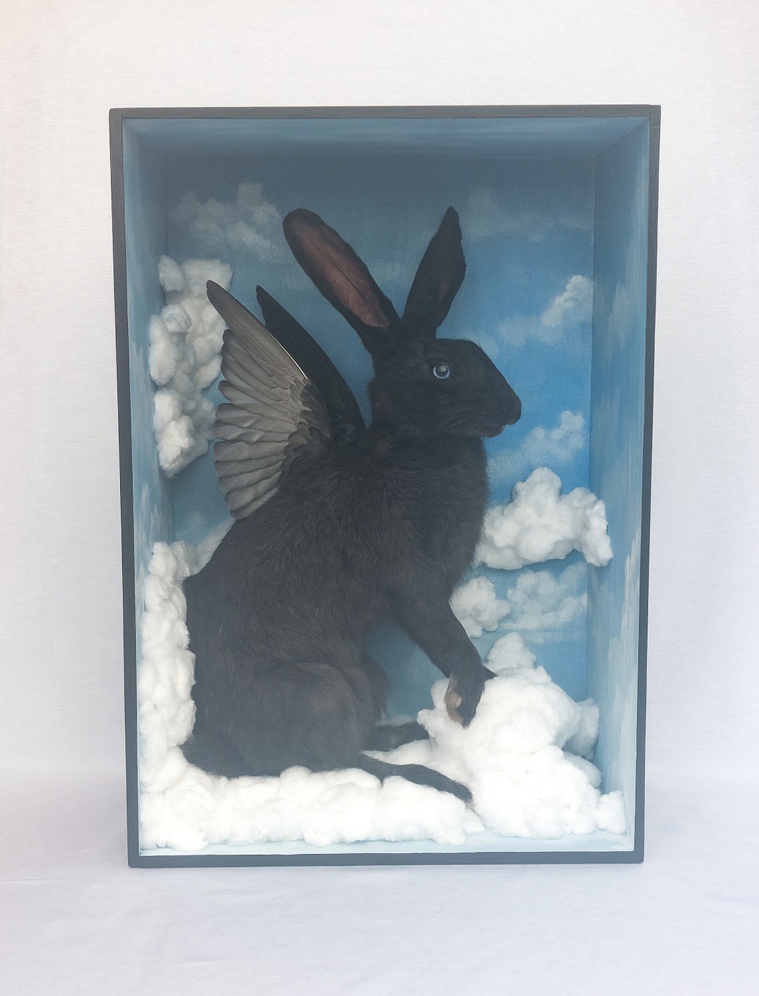 Black Winged Rabbit Angel Rabbit Black Pegasus Rabbit - Etsy
