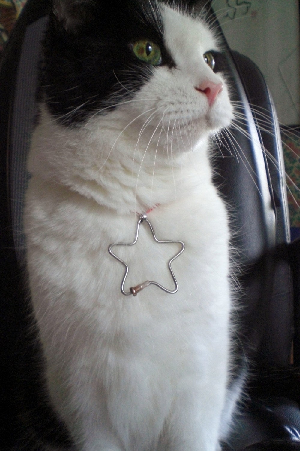 Key Chain Bicycle Spoke Dog Bone Stainless Steel Key Ring - Etsy
