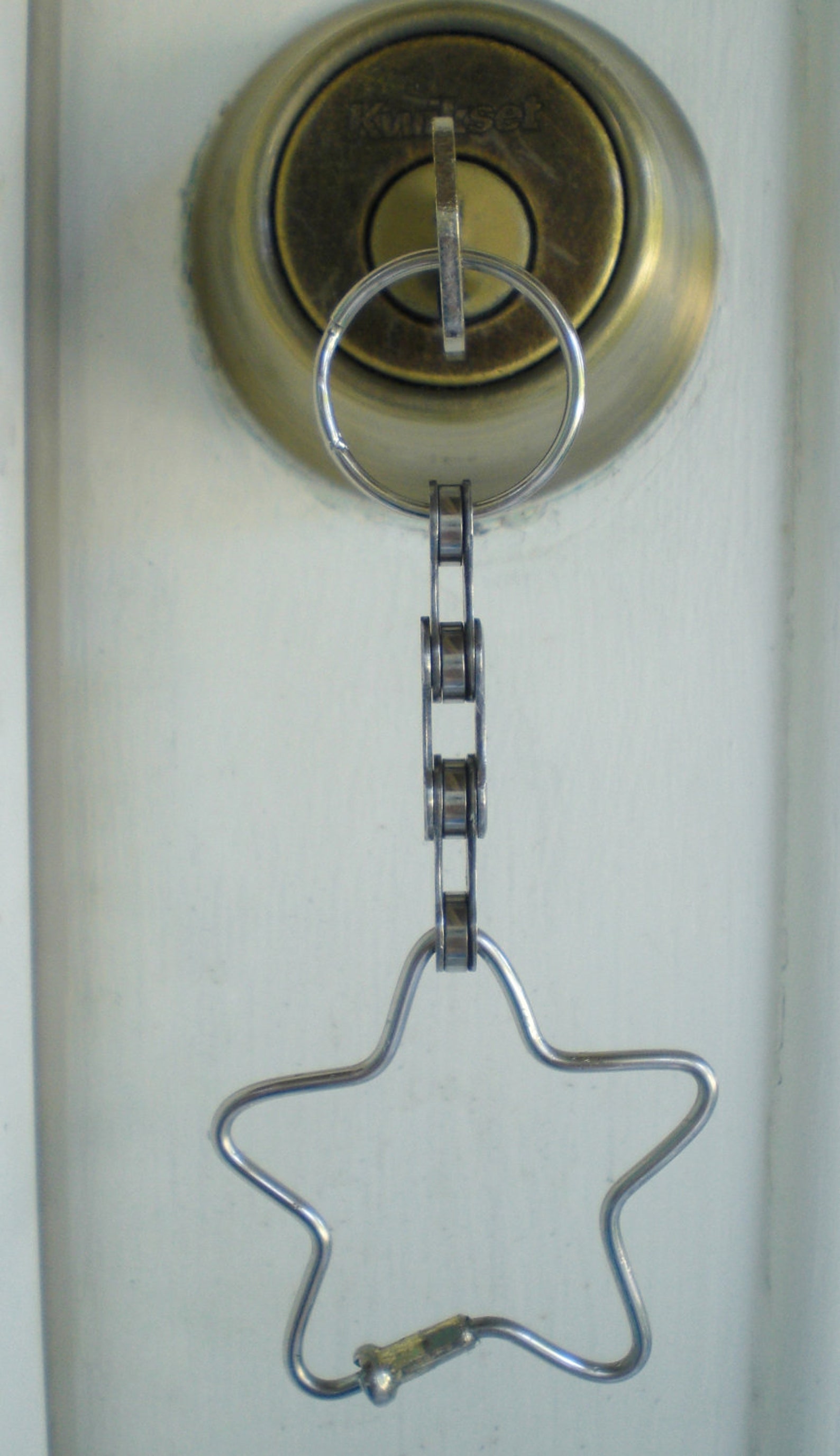 Key Chain Bicycle Spoke Dog Bone Stainless Steel Key Ring - Etsy