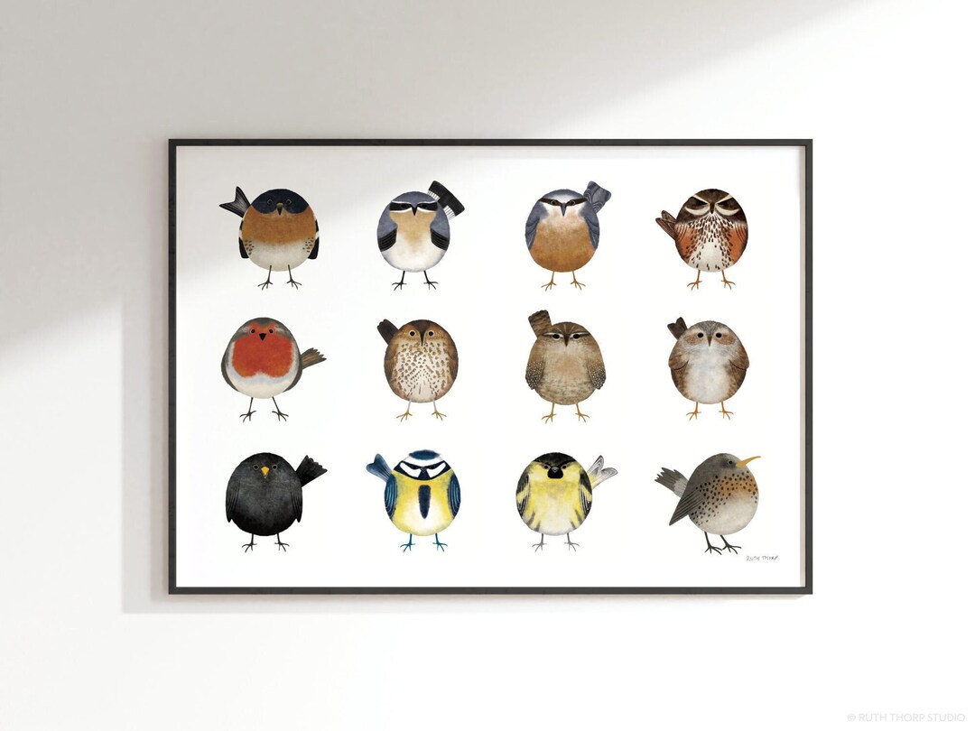 Garden Birds Poster | A2 or A1 Landscape Print | 12 Illustrated British ...