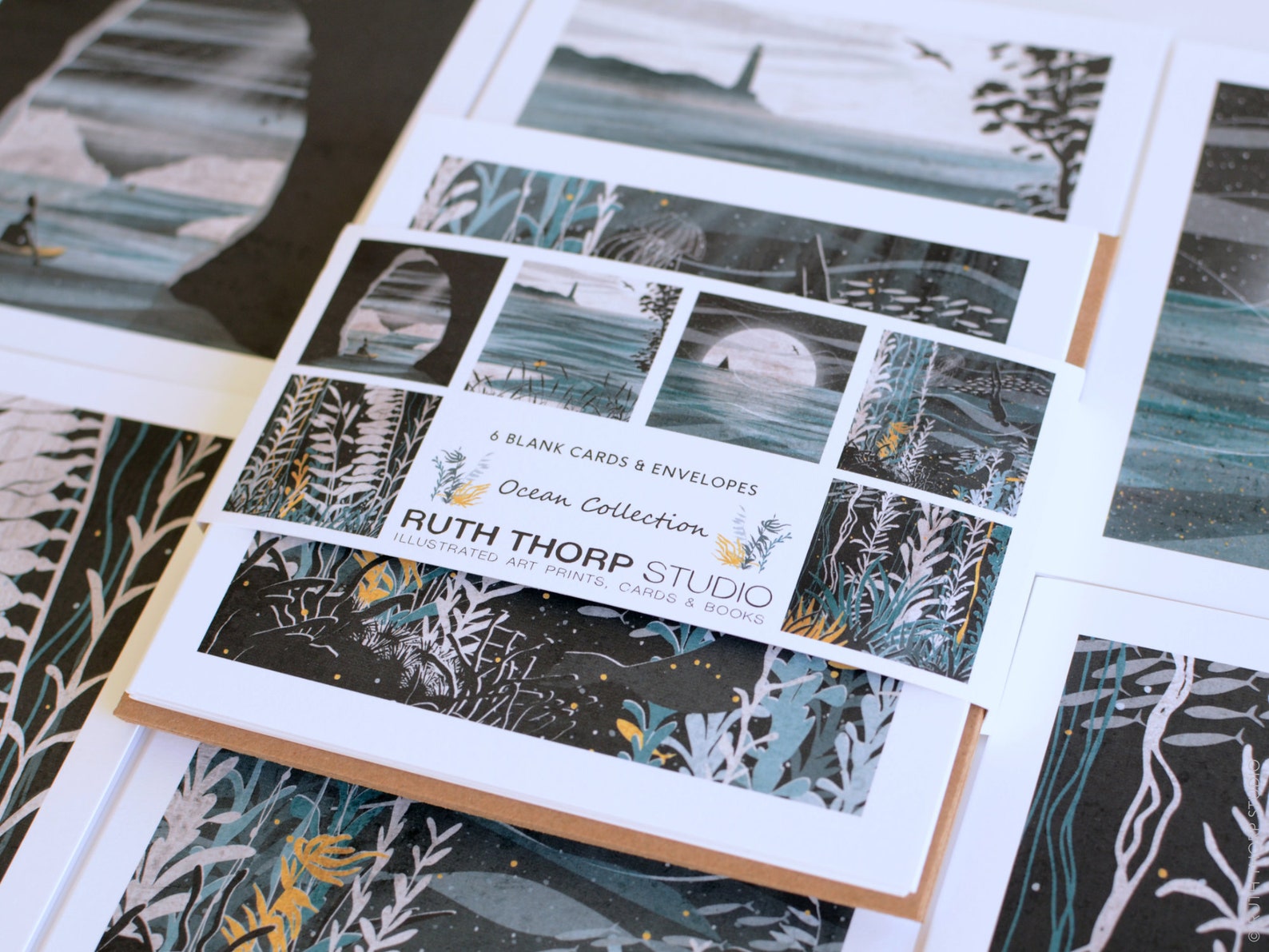 Ocean Collection Pack of 6 Greeting Cards - Etsy