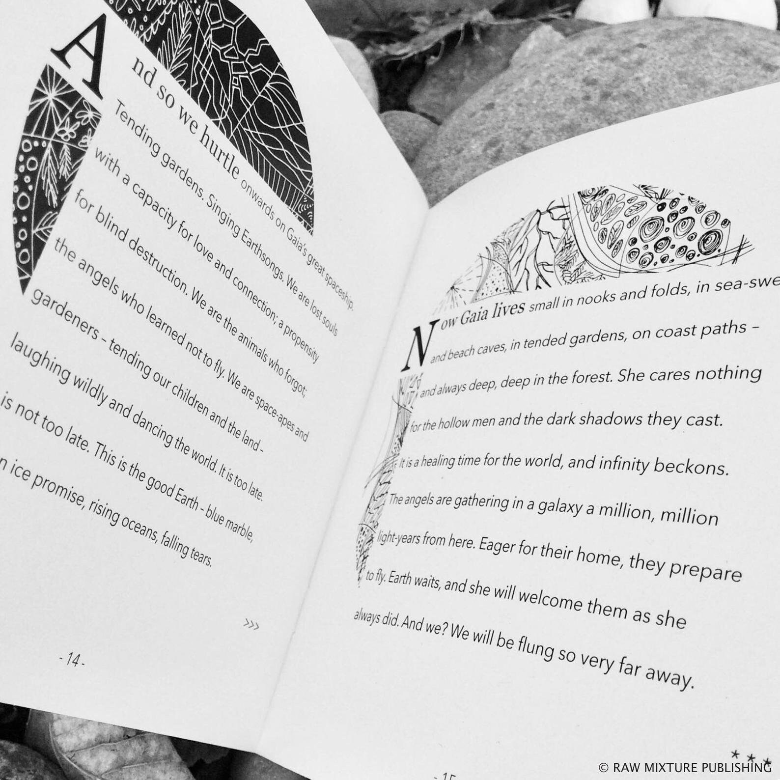 Blue Marble Illustrated Eco Poem by Steve Thorp. Illustrated - Etsy