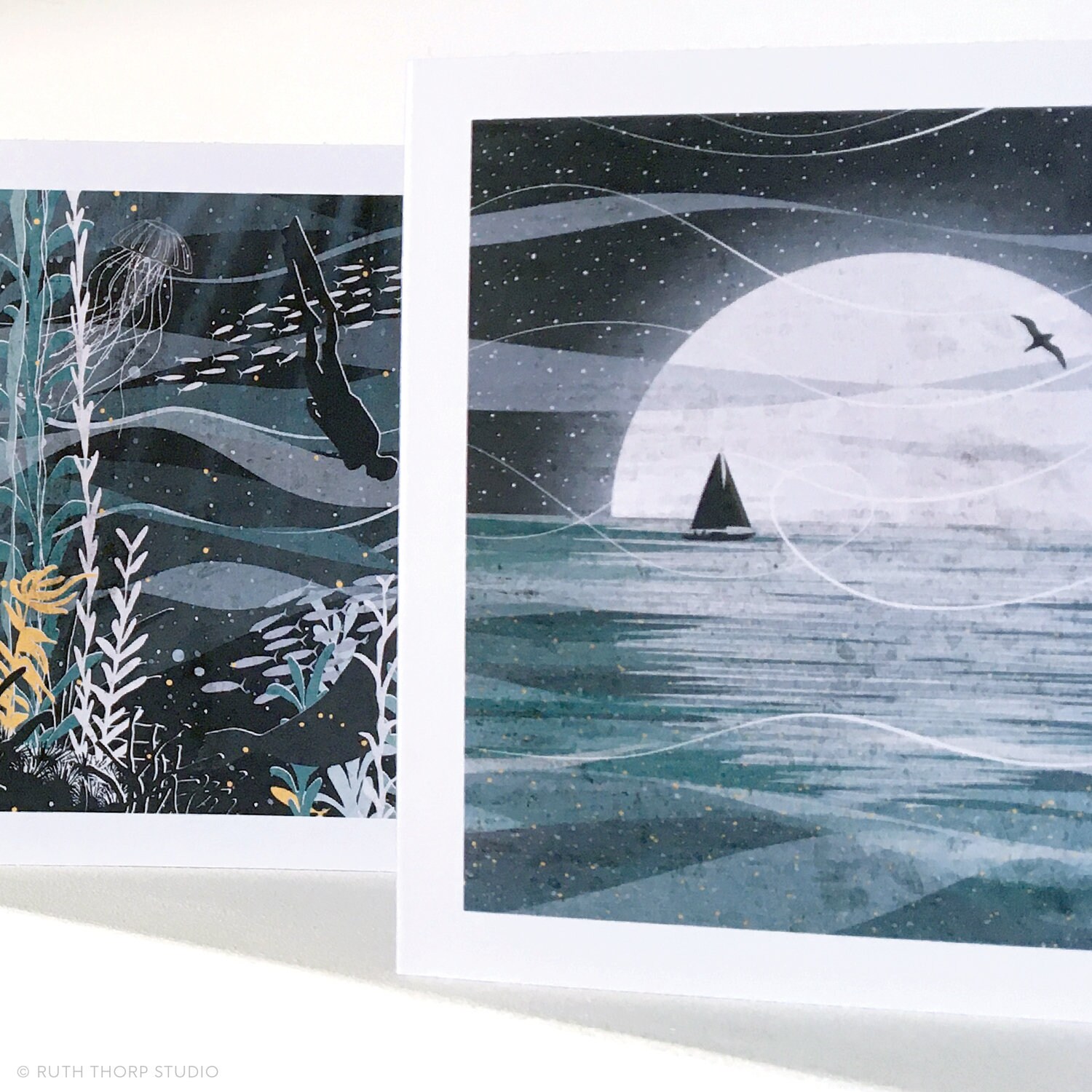 Ocean Collection Pack of 6 Greeting Cards | Etsy