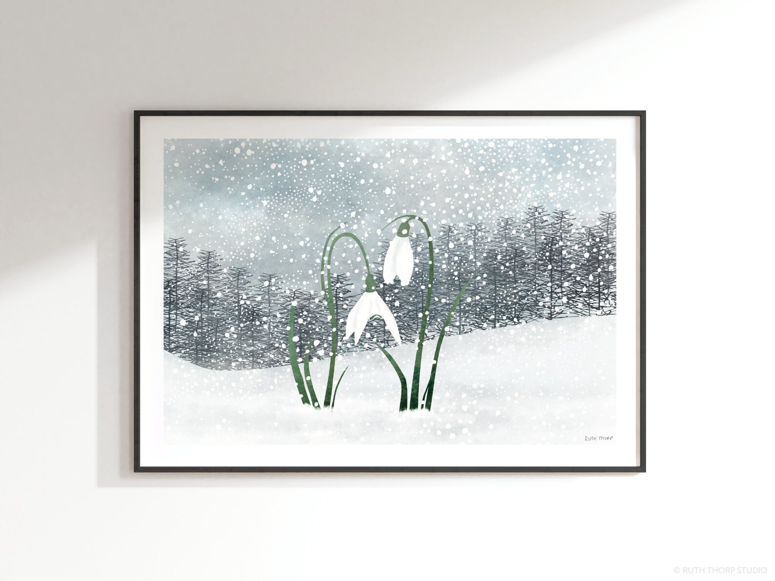 Snowdrops Art Print: A4, A3, A2, A1 - Etsy UK