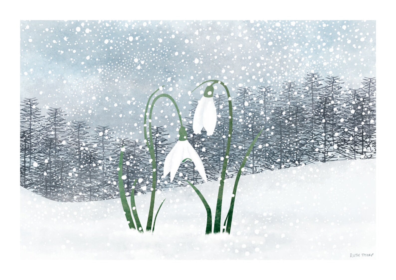Snowdrops Art Print: A4 A3 A2 A1 - Etsy UK