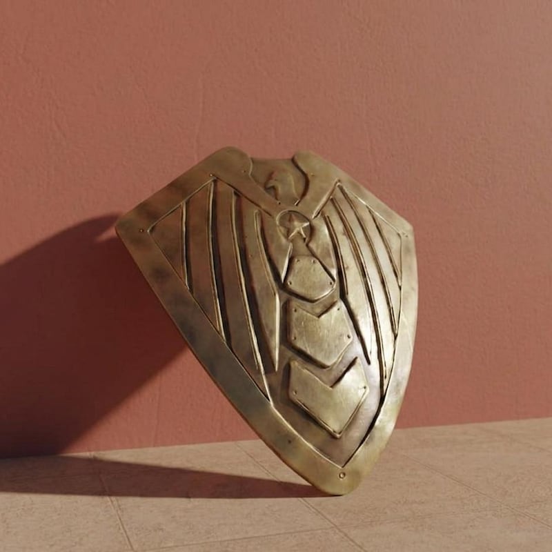 Soldier Boy Shield - Etsy