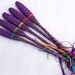 Rustic Decor Purple Organic Lavender Wand With Colorful Rainbow Line ...