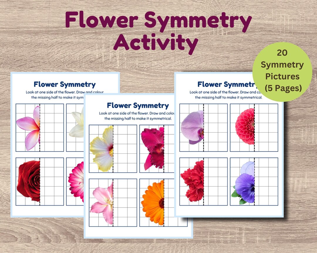 Flower Symmetry Activity | Draw the Missing Half Printable | Spring ...