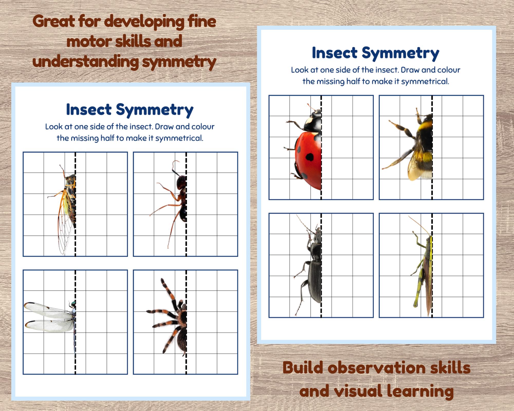 Insect Symmetry Worksheets | Draw the Missing Half Printable | Bug ...