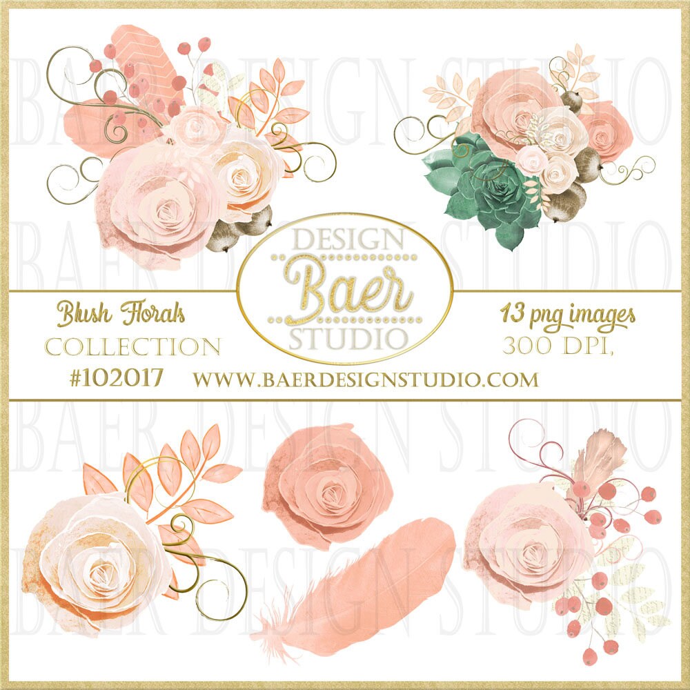 Floral Graphics:pink Flower Clipart Blush Roses Clipart Pink - Etsy