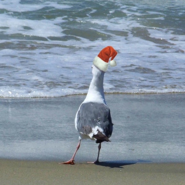 Custom Beach Hat - Etsy