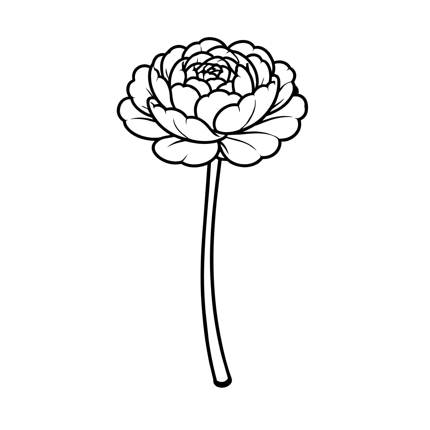 Peony Flower SVG PNG, Simple Floral Outline Clipart, Mother's Day Card ...