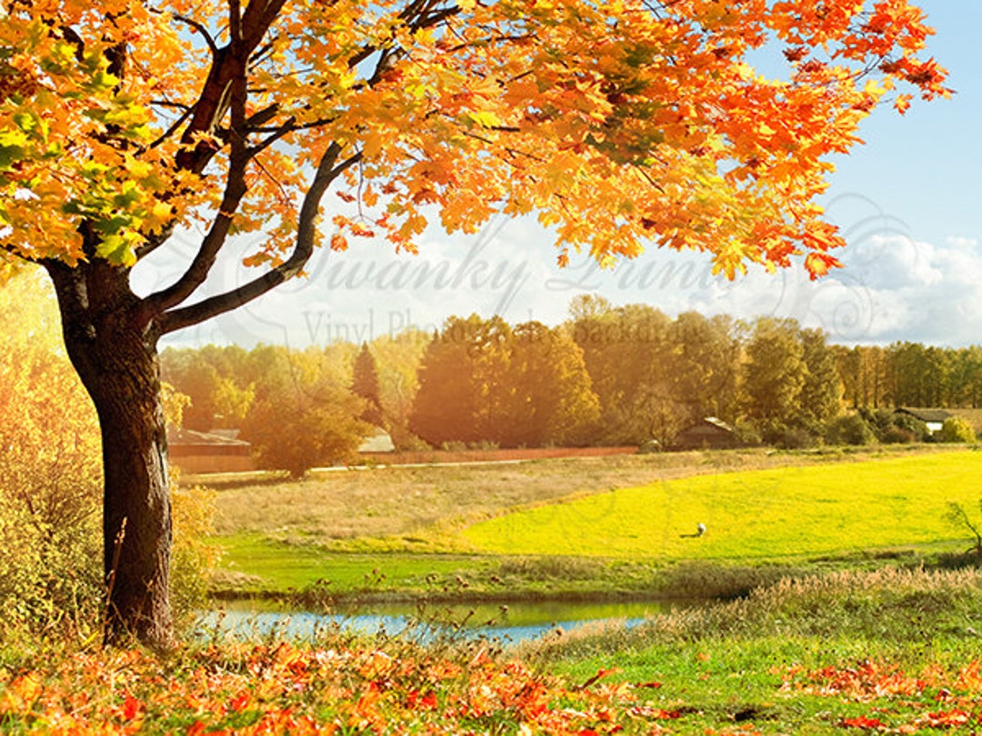 4ft X 3ft Vinyl Photography Backdrop / Custom Photography Prop / Autumn ...