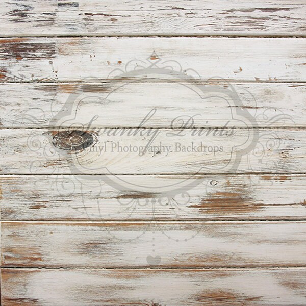 COMBO PACK / FOUR 2ft X 2ft Variety Backdrops Floordrops / Vinyl ...