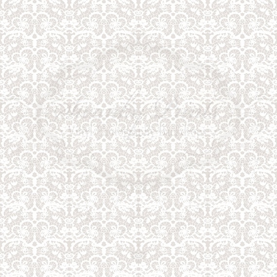 NEW 6ft X 6ft Vinyl Photography Backdrop / White Lace - Etsy