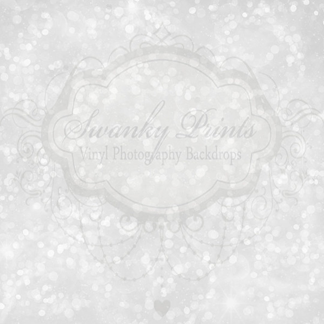 4ft X 4ft Vinyl Photography Backdrop / Small Print Silver Bokeh ...