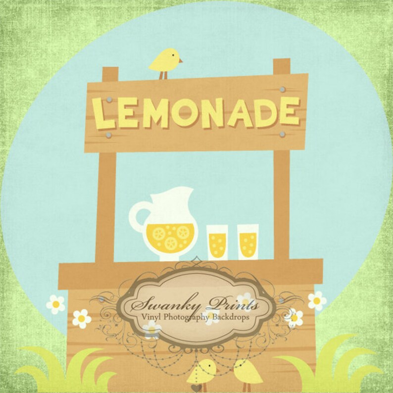 New 5ft X 5ft Lemonade Stand Vinyl Photography Backdrop Etsy