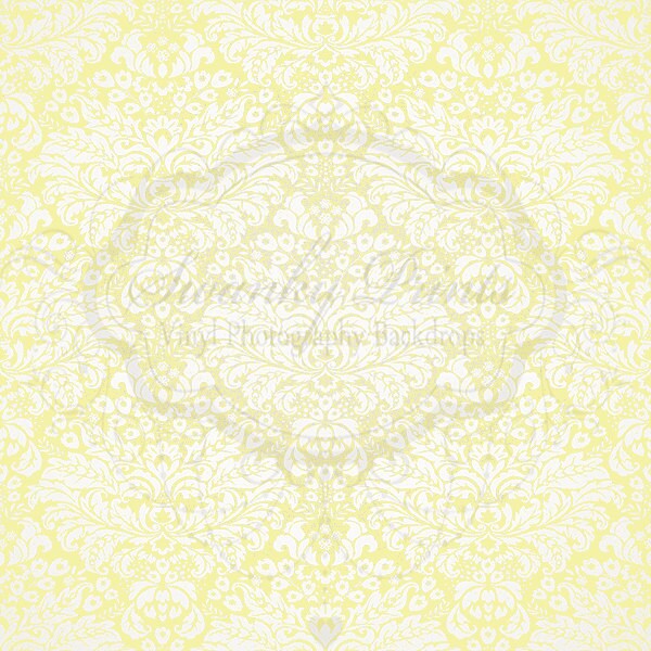 5ft X 5ft Vinyl Photography Backdrop for Accessories Product - Etsy