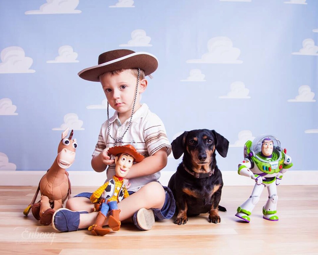 2ft X 2ft Vinyl Photography Backdrop / Toy Story Clouds Inspired ...