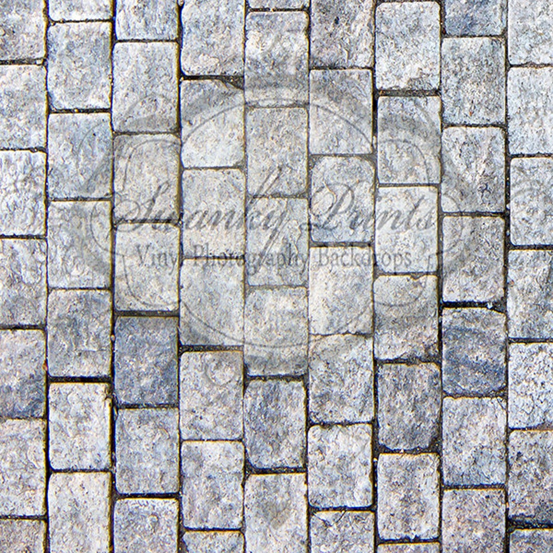 2ft X 2ft Vinyl Photography Backdrop / White Stone Path - Etsy