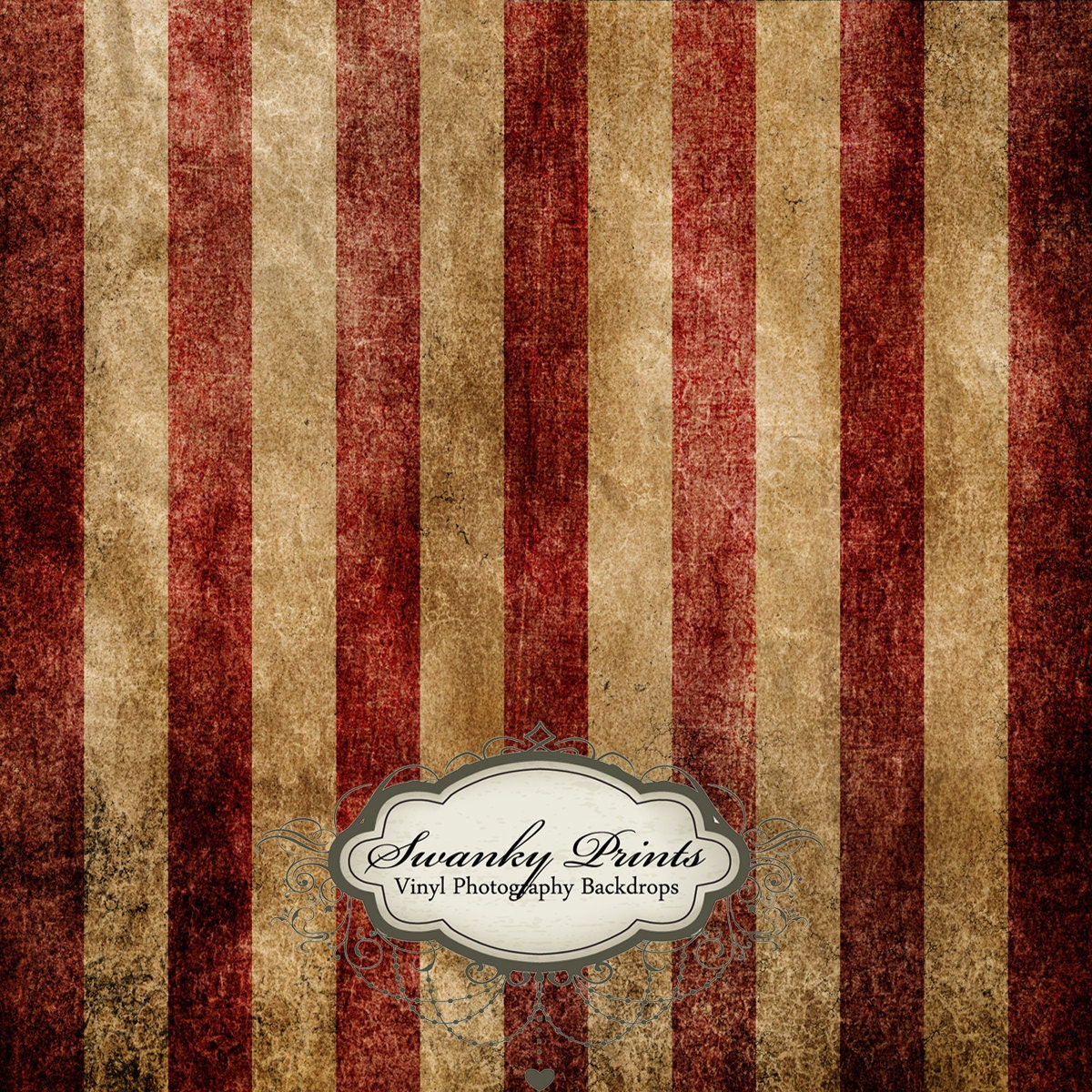 NEW ITEM 4' X 4' Vinyl Photography Backdrop / Grunge - Etsy
