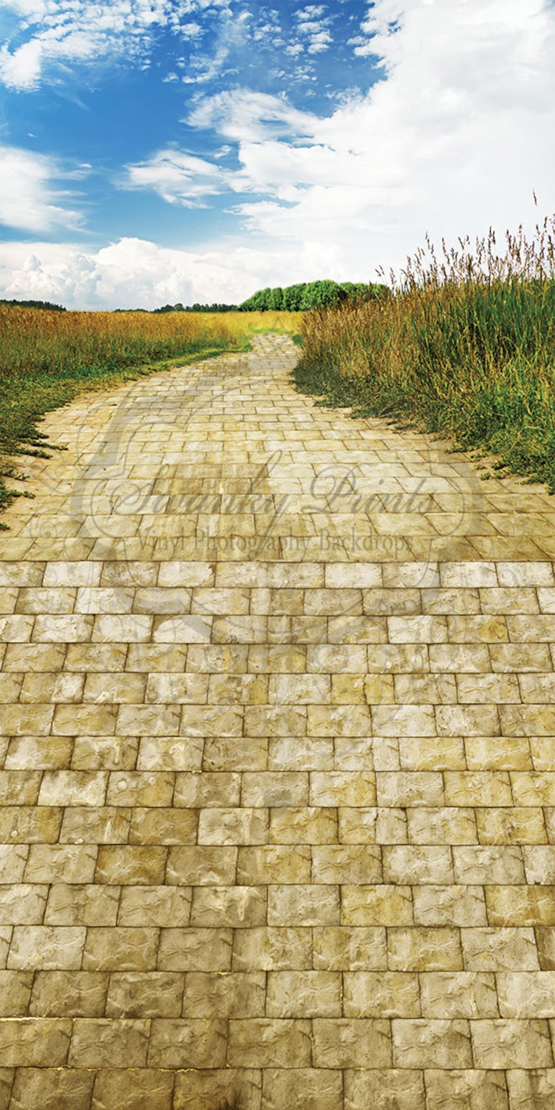 6ft X 12ft Yellow Brick Road / Vinyl Backdrop / Custom Photo Prop - Etsy