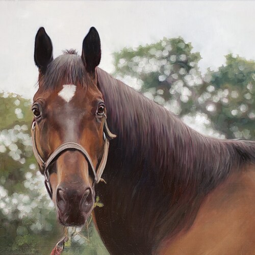 Custom Horse Painting Horse Portrait Oil Painting Custom - Etsy