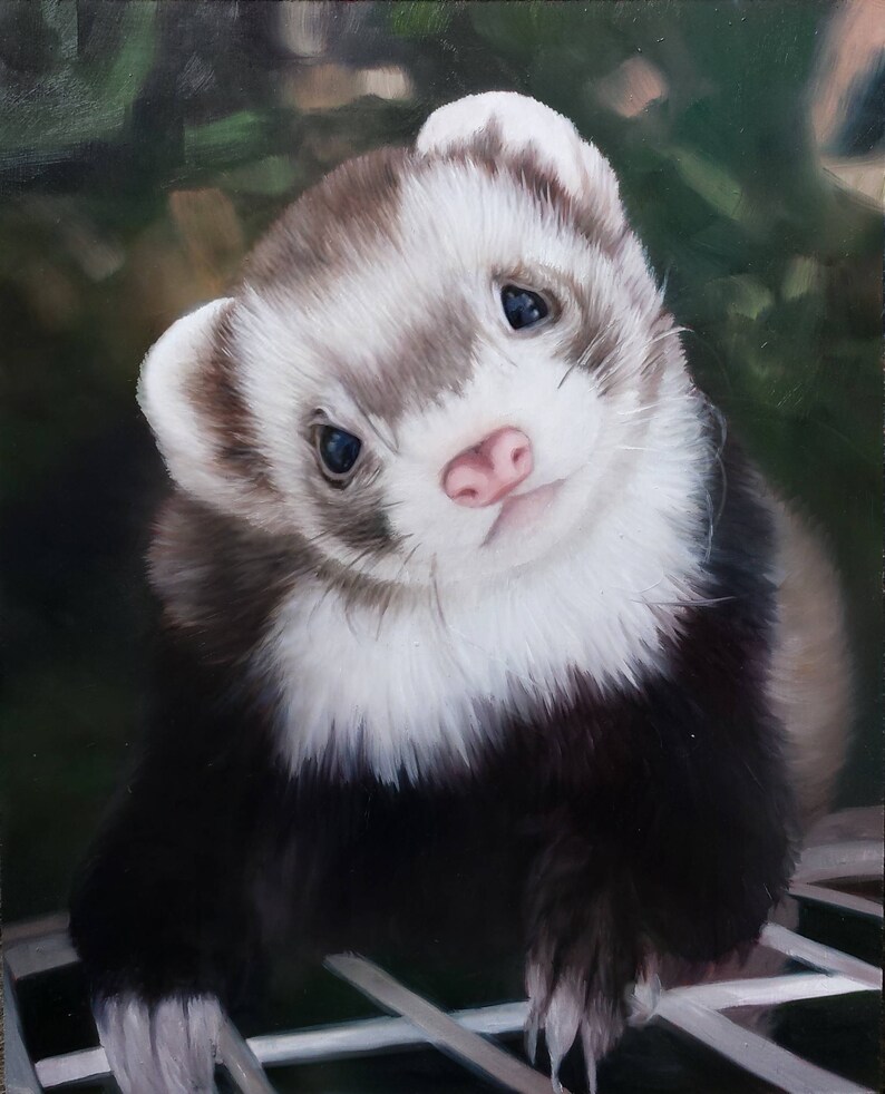 Hand Painted Custom Pet Portrait - Dog Portrait - Ferret Painting - Oil ...