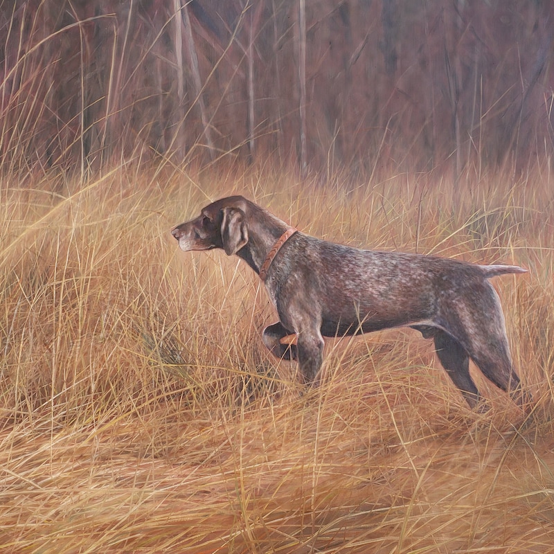 Pointer Dog Oil on Canvas - Etsy
