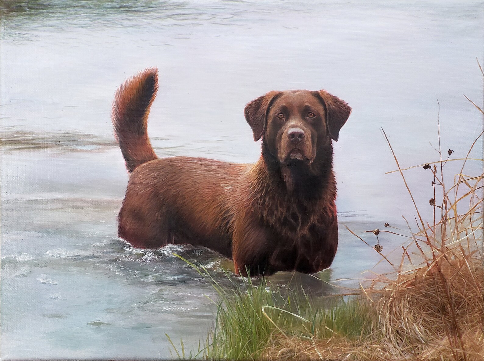Custom Pet Portrait Chocolate Lab Yellow Lab Oil - Etsy