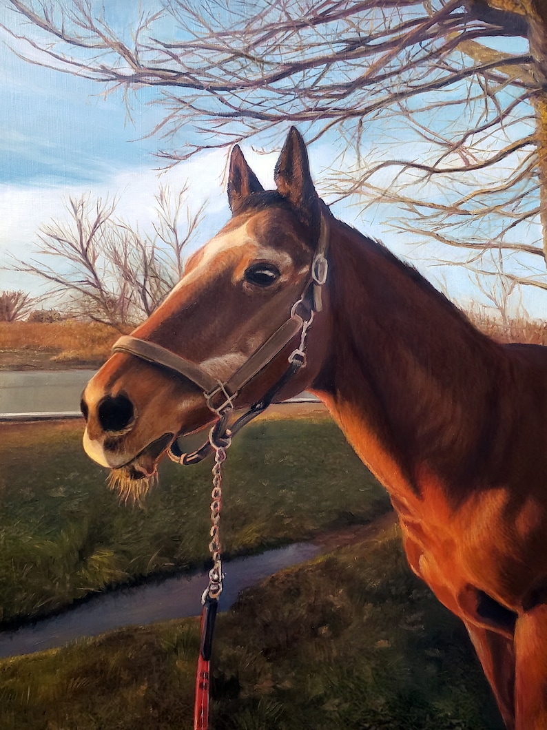 Custom Horse Painting Horse Portrait Oil Painting Custom - Etsy