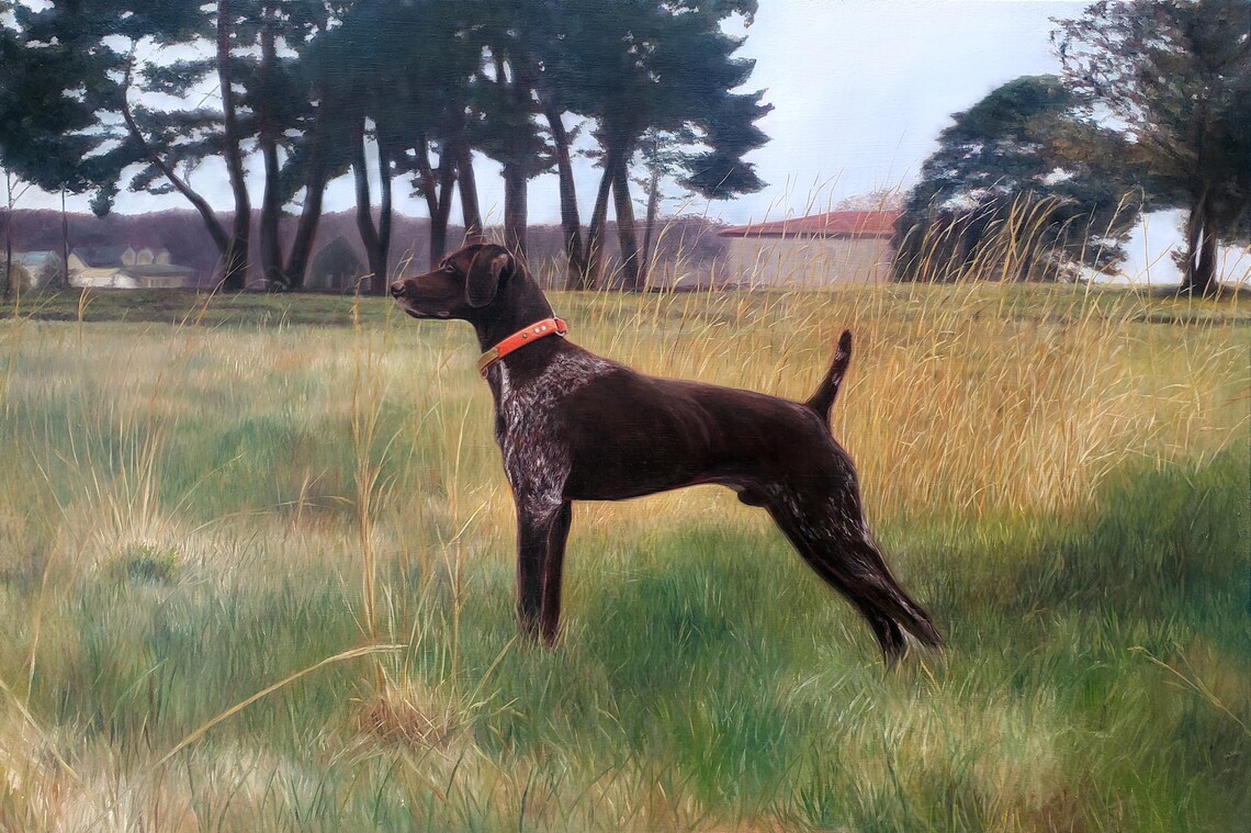 Hand Painted - CUSTOM PET PORTRAIT -oil Painting - Hunting Dog - Dog ...