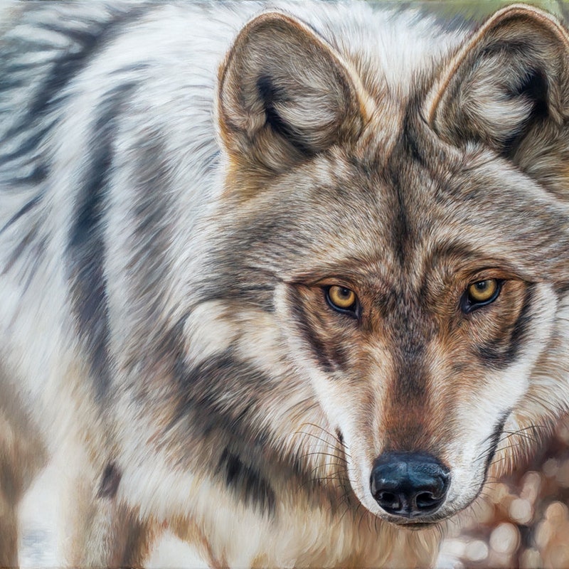 Wolf Paintings - Etsy