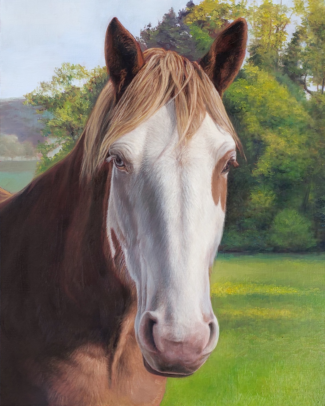 Custom Horse Painting Horse Portrait Oil Painting Oil on - Etsy