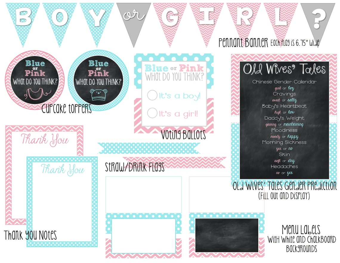 Baby Gender Reveal DIY Printable Party Kit Pink and Blue - Etsy