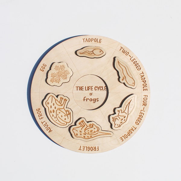 Life Cycle Puzzle - Etsy