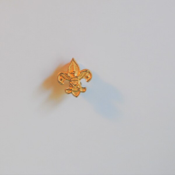 Boy Scouts Pin - Etsy
