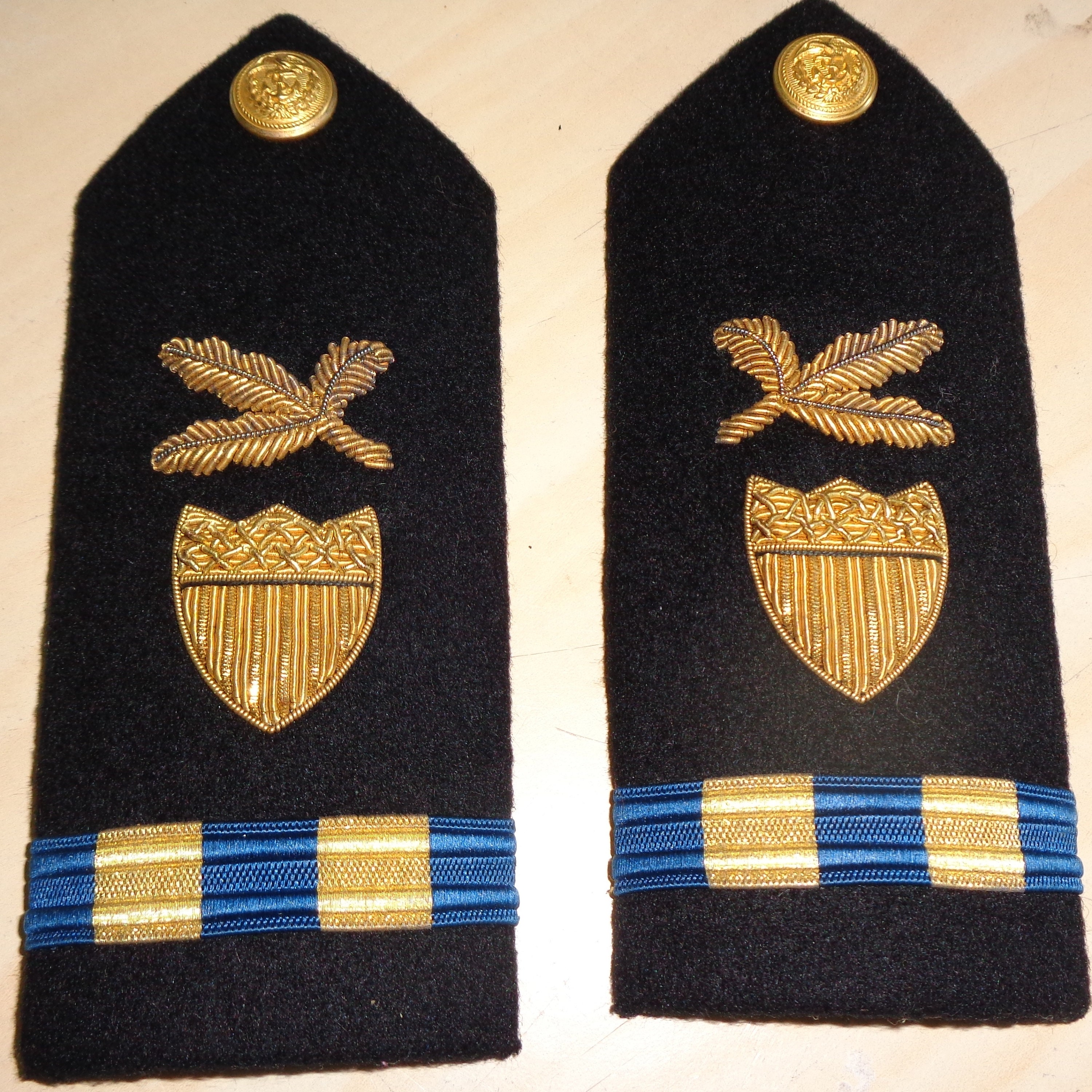 Vietnam ERA CWO3 Epaulets Collectibles Memorabilia etna.com.pe