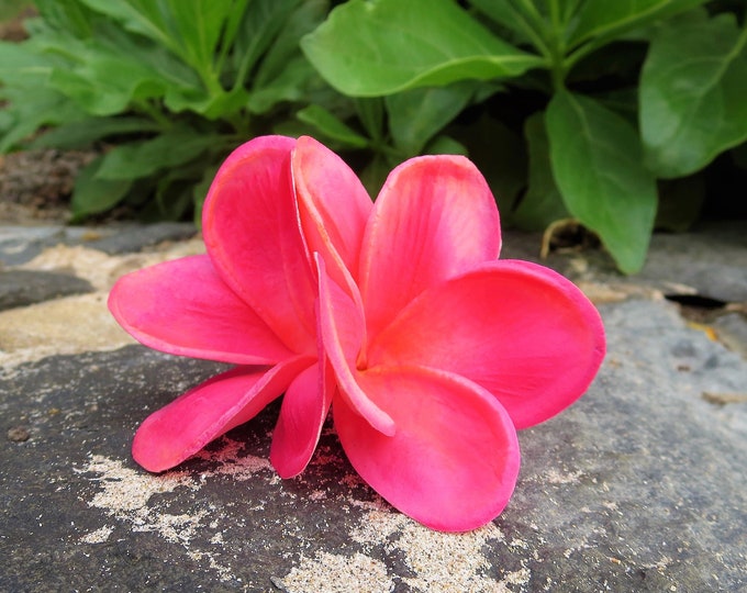 Moana Hair Flower, Moana Flower, Plumeria Hair Flower, Tropical, Hair ...