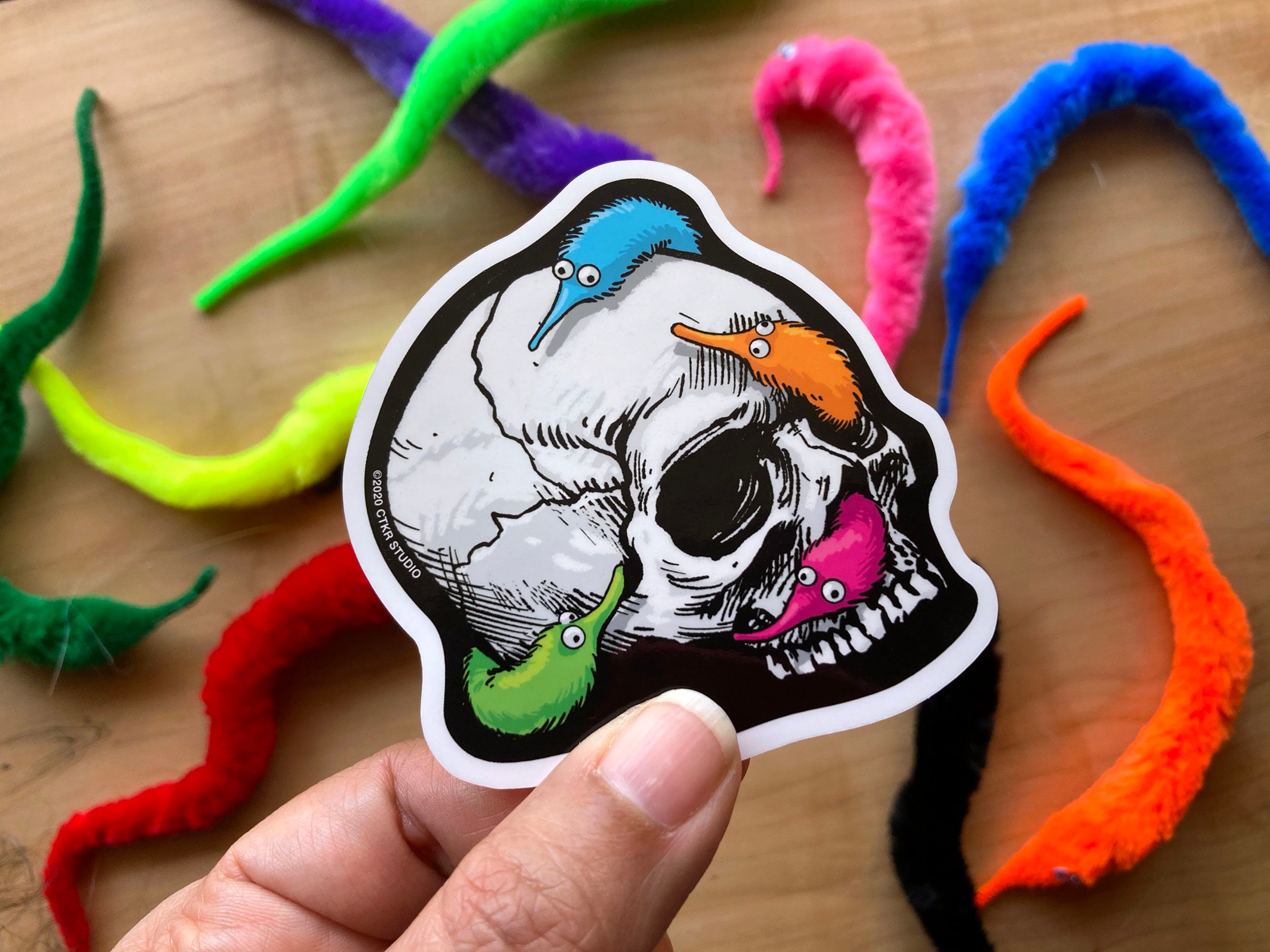 VS006 / Worms on a String on a Skull Designer Weatherproof Sticker ...